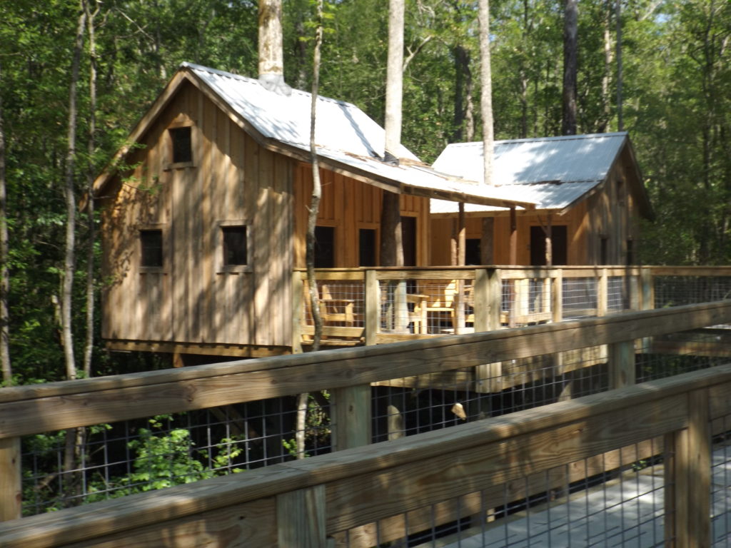 Cashie River Tree Houses