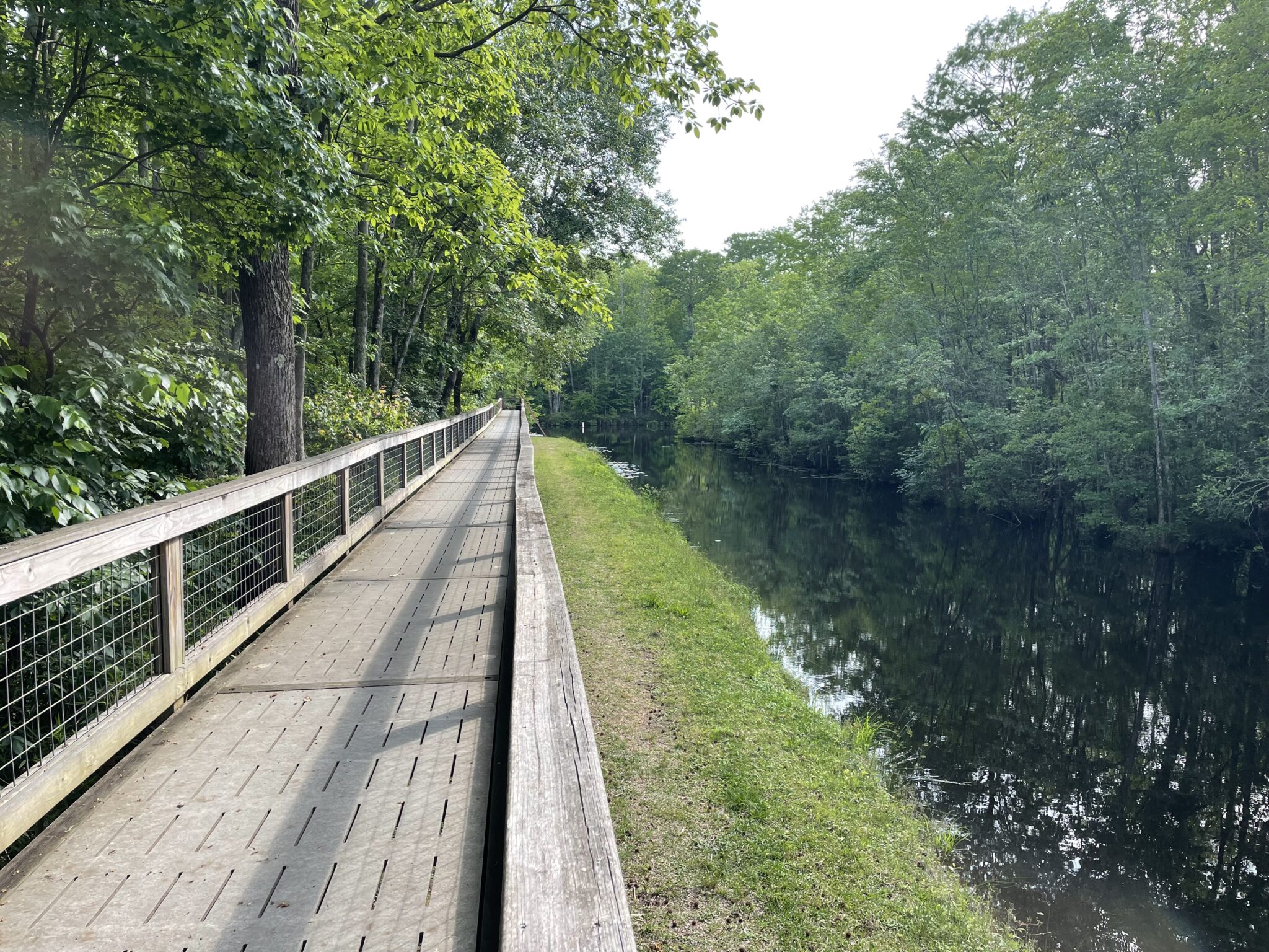 Cashie River Tree Houses