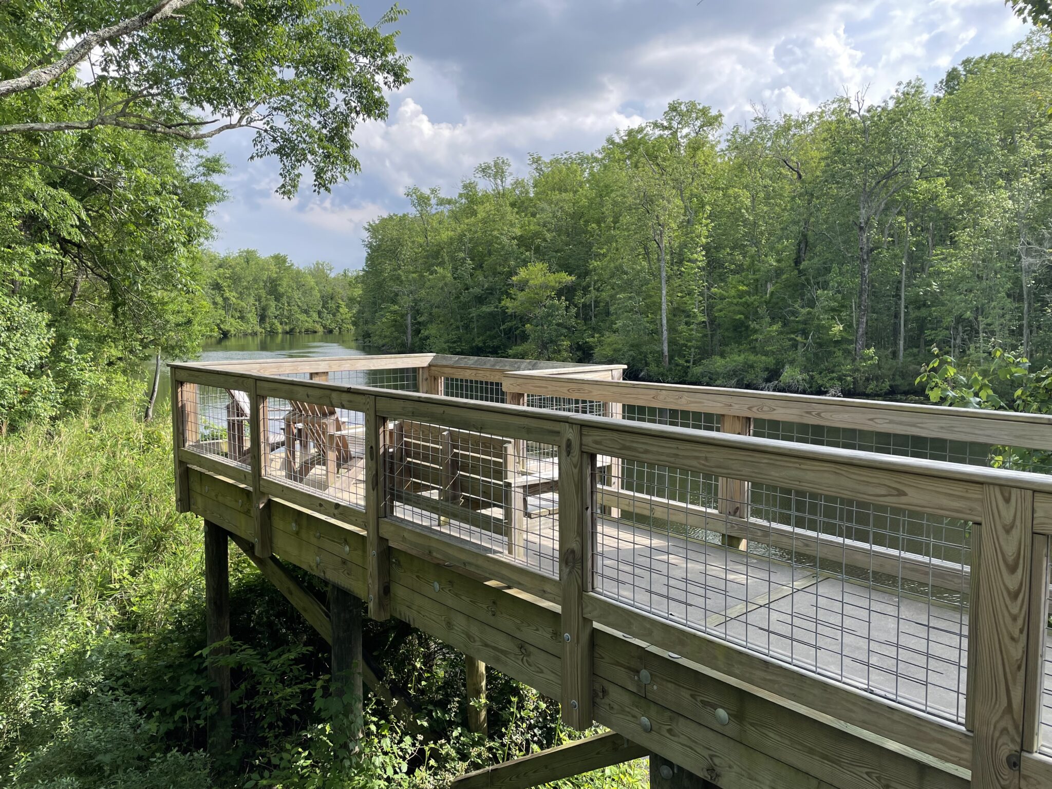 Cashie River Tree Houses