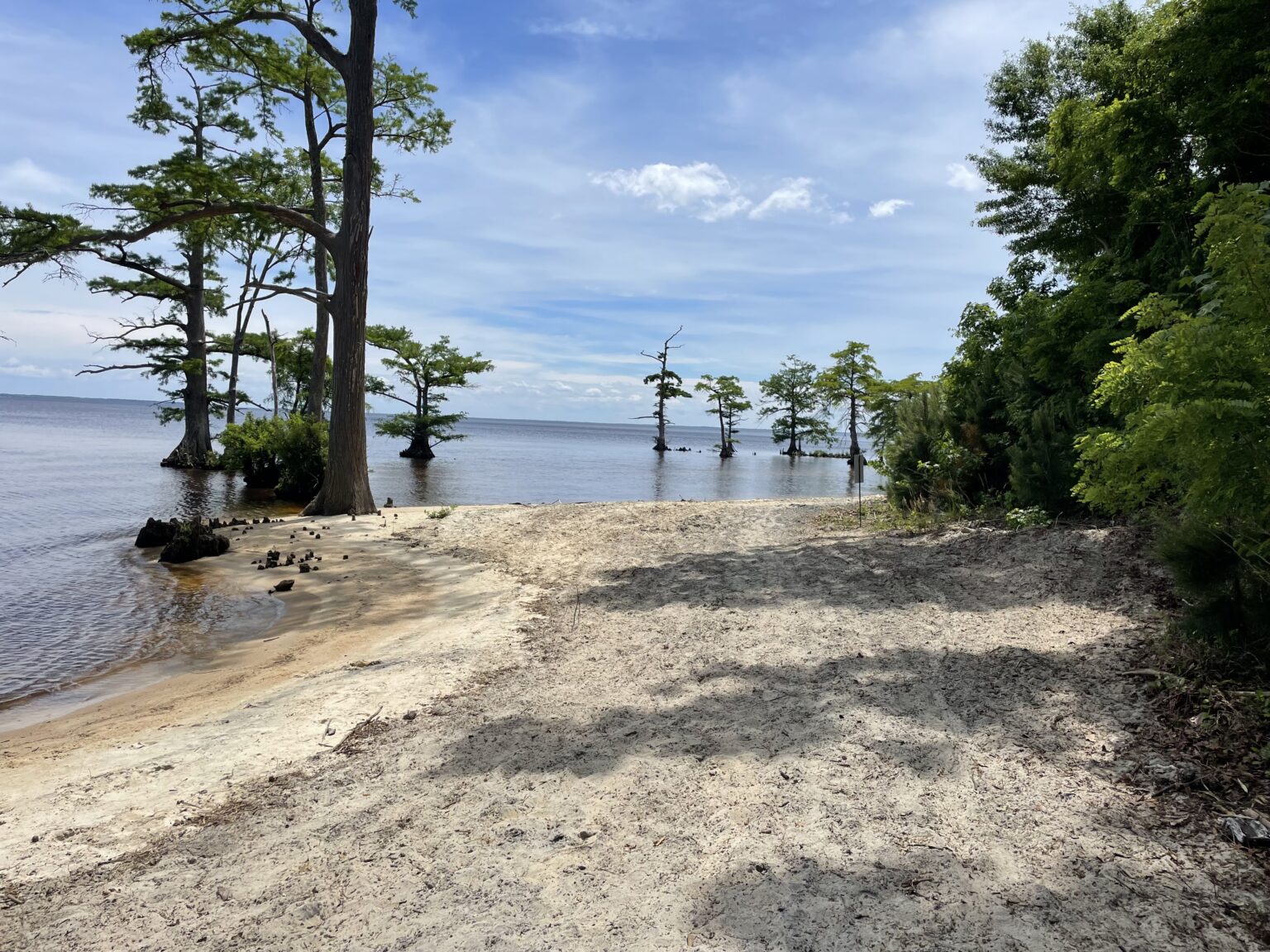 Bertie Beach